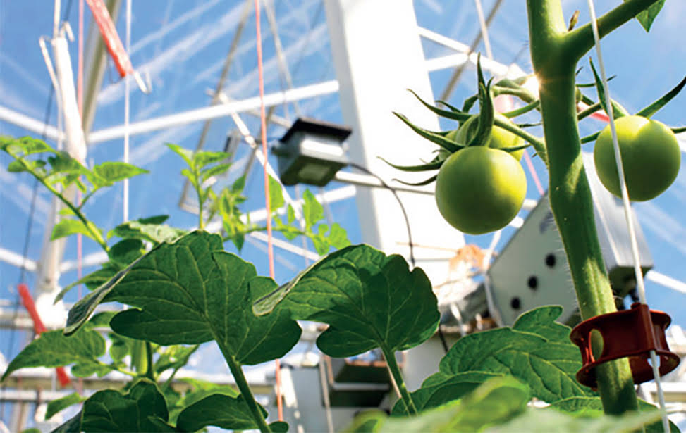 Turn key projects: 6 steps approach | UGB