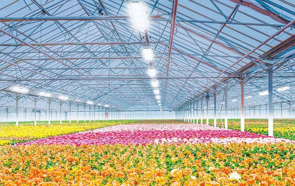 Engel lighting: Quality is an attitude - U gaat bouwen | DE