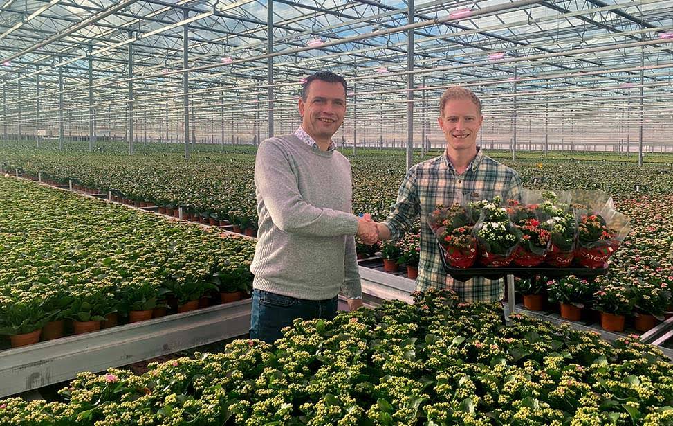 Vilosa becomes the first grower to switch to Modiform’s Pristine trays ...