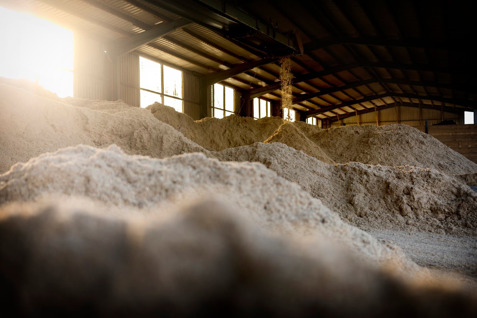 Klasmann-Deilmann: pioneer in sustainable substrate innovation - U Gaat ...