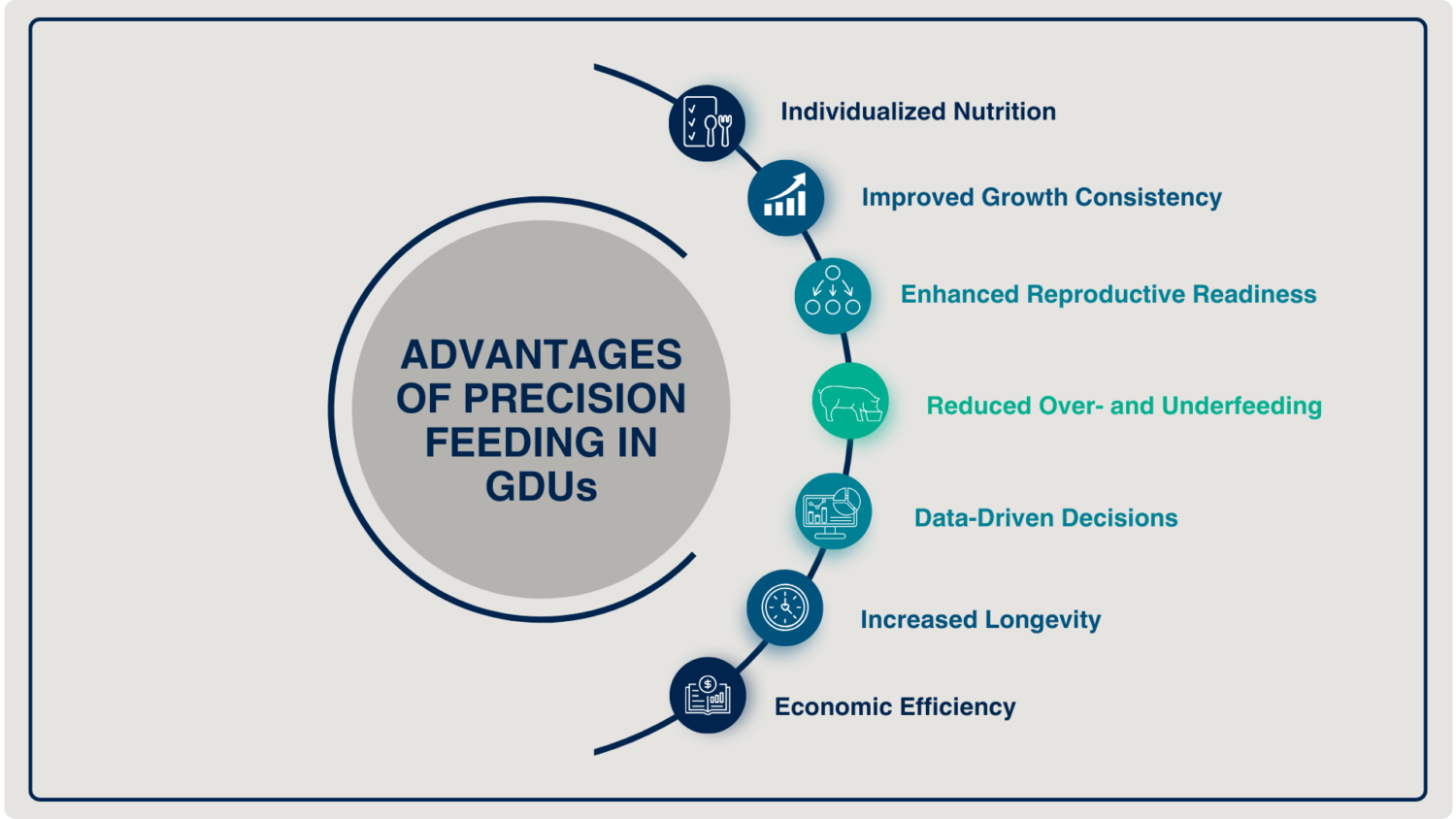 Feeding the Future: Why Precision Gilt Nutrition is the Foundation of Sow Farm Success - U Gaat ...